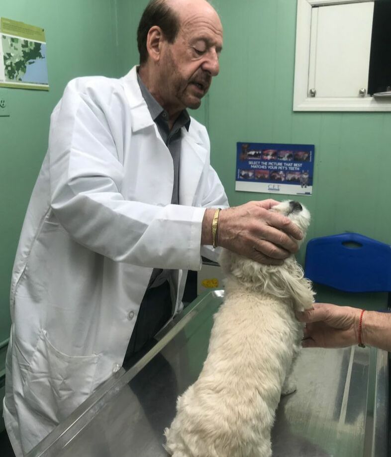 Gallery | Animal Hospital and Veterinary Center Bronx / Lurting Ave 10469